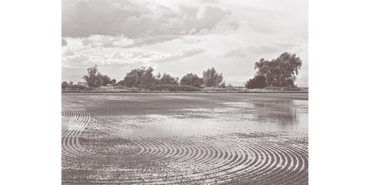 Across Ground | Lars Müller Publishers